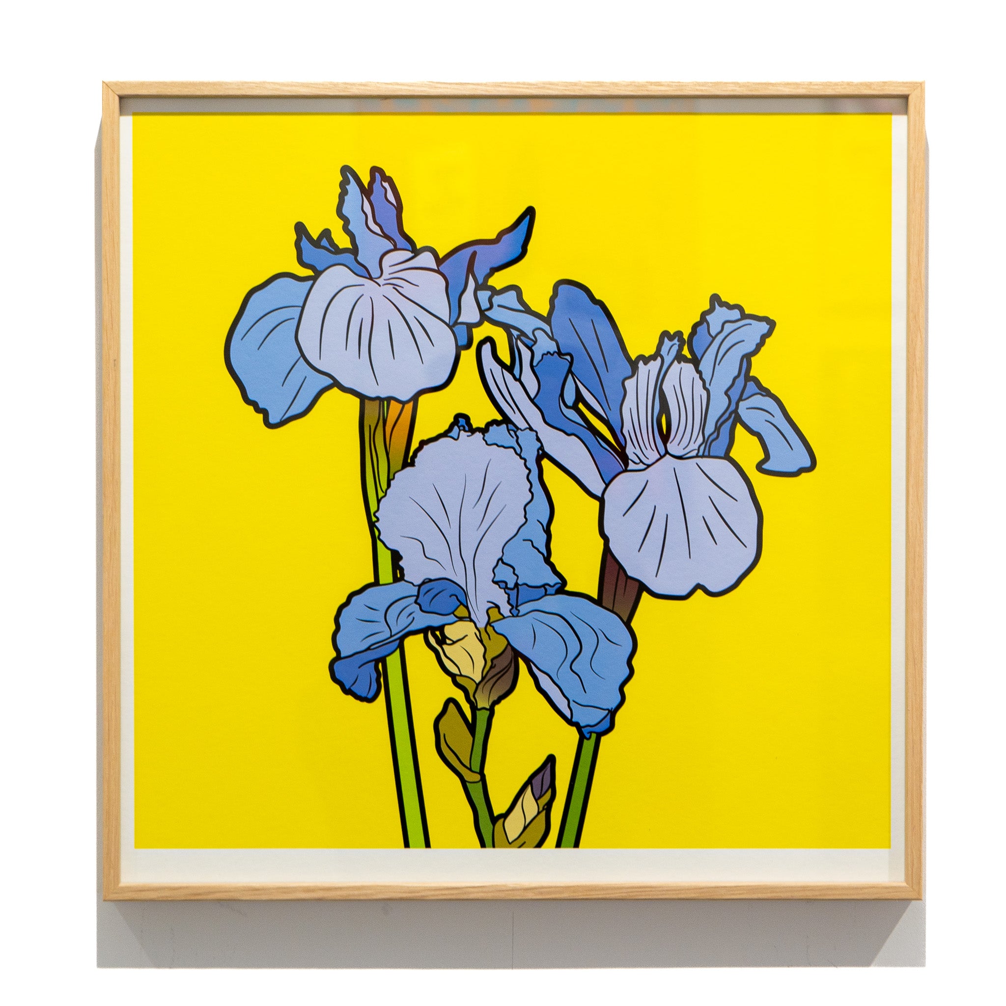 Framed Iris 28 – Helm Gallery