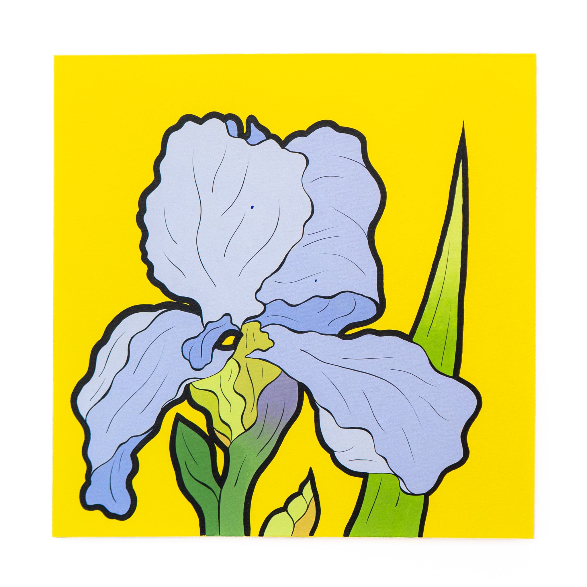 Iris 14 – Helm Gallery
