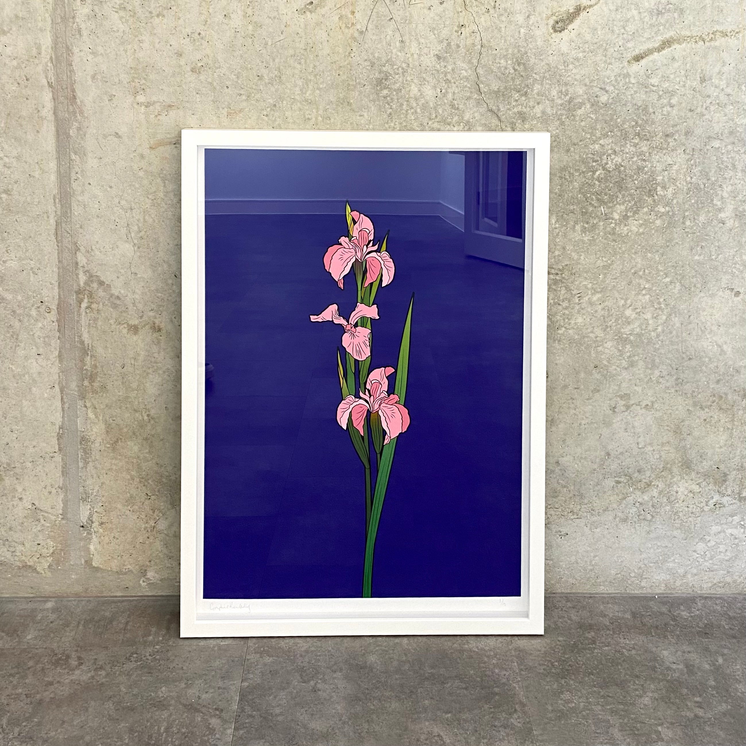 IRIS 45 (Yellow) | Graphic Rewilding | Helm Gallery