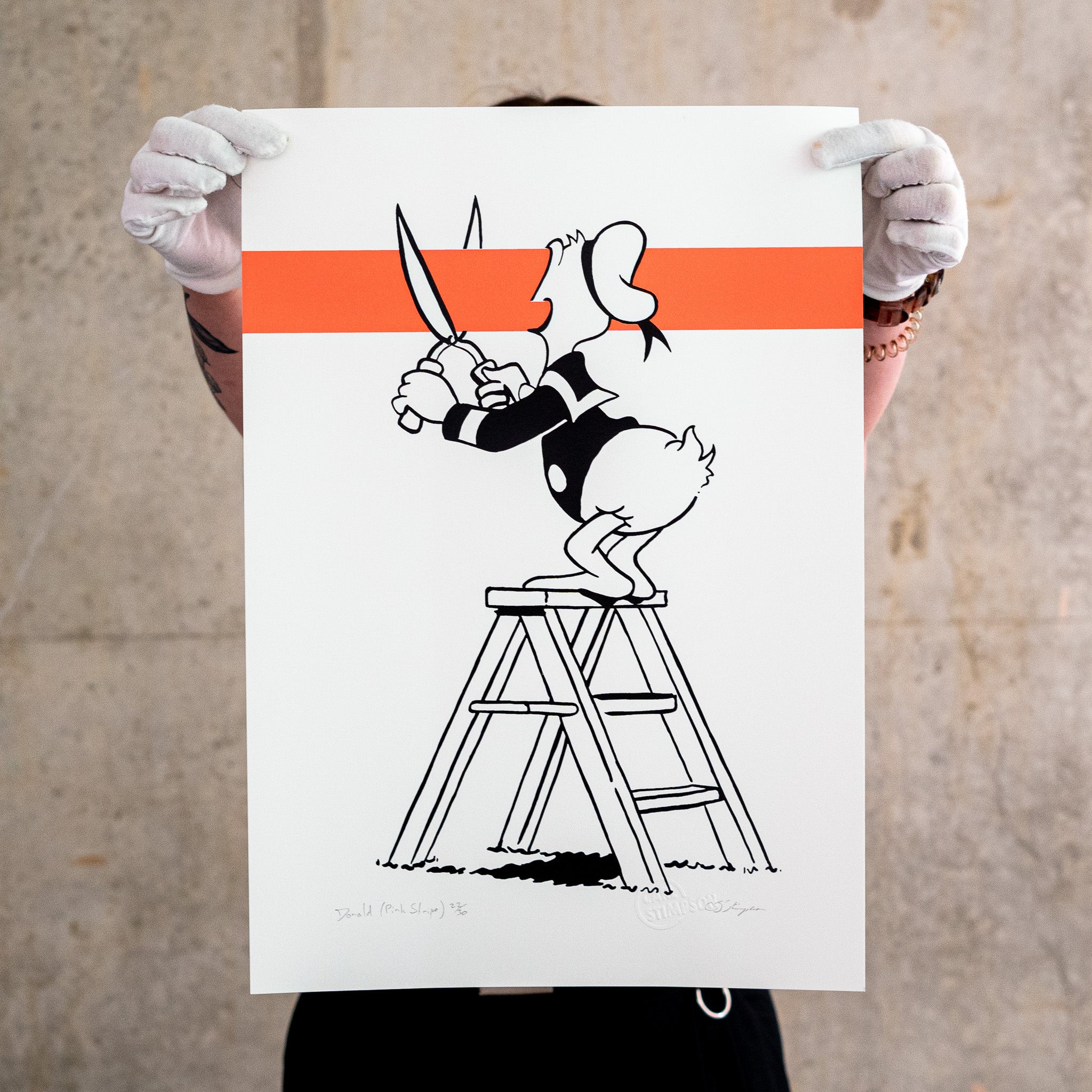 Donald (Pink Stripe) │ Carl Stimpson │ Helm Gallery