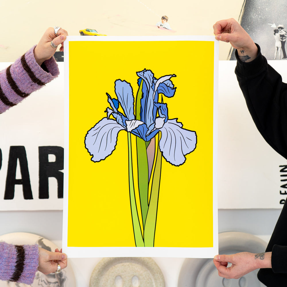 African Lily – Helm Gallery