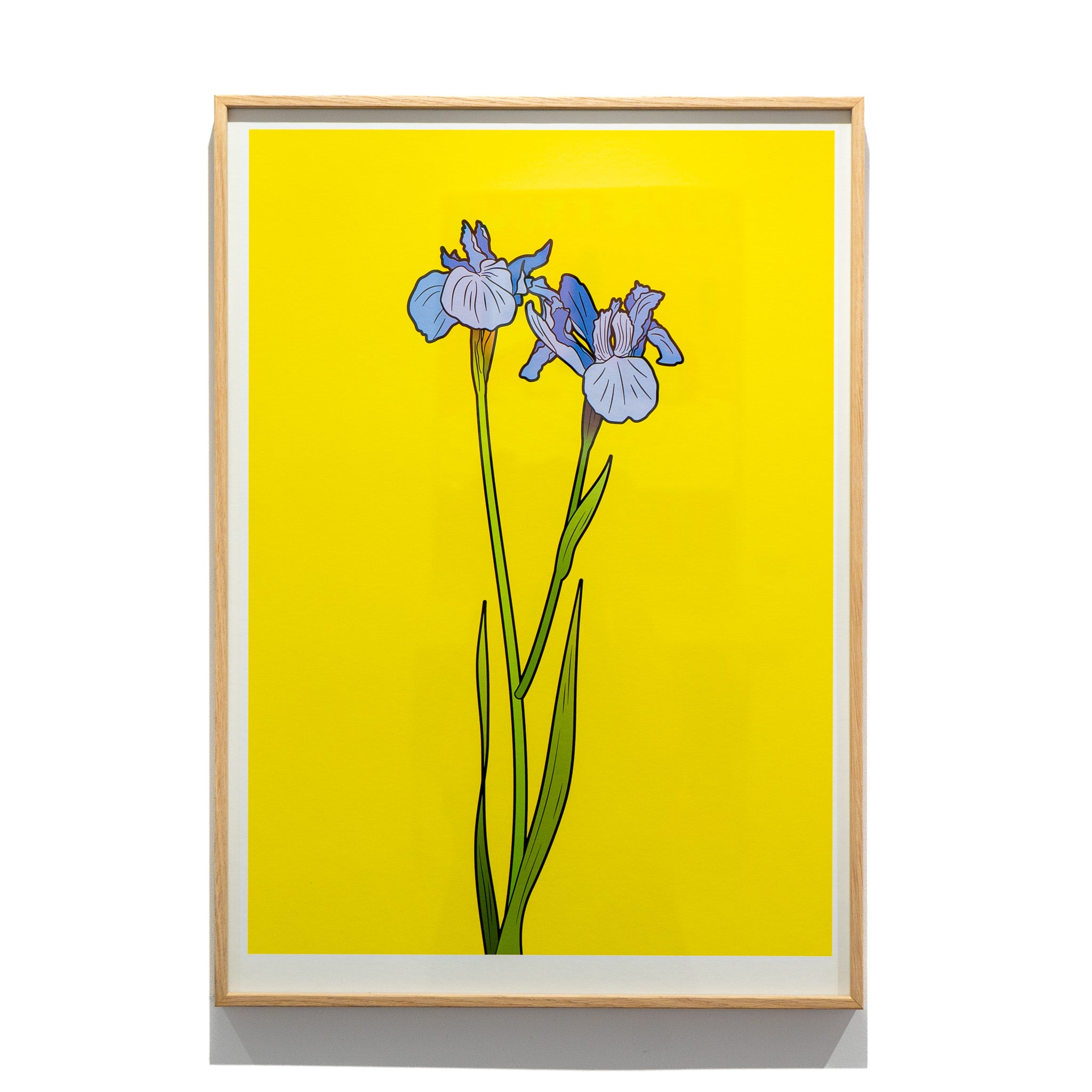 Graphic Rewilding – Helm Gallery