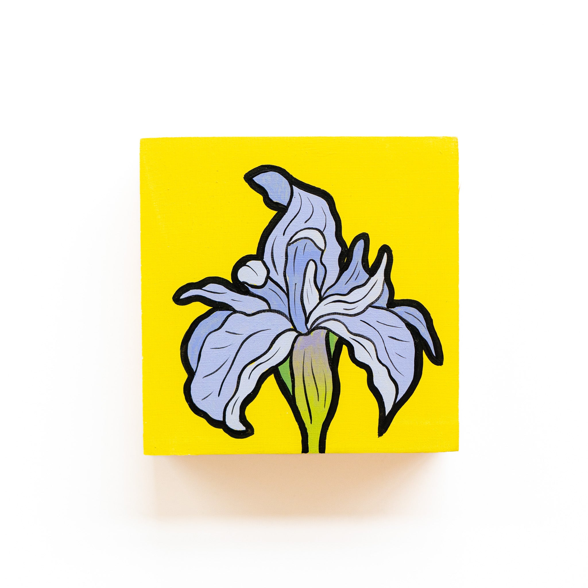 Graphic Rewilding – Helm Gallery