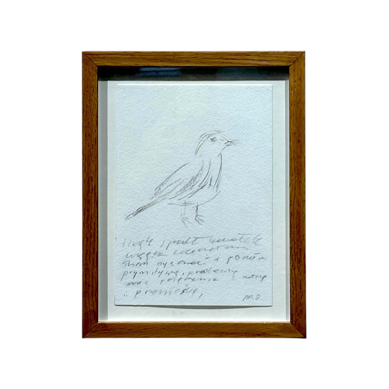 Lanzerote Birds | Marcelina Amelia | Helm Gallery